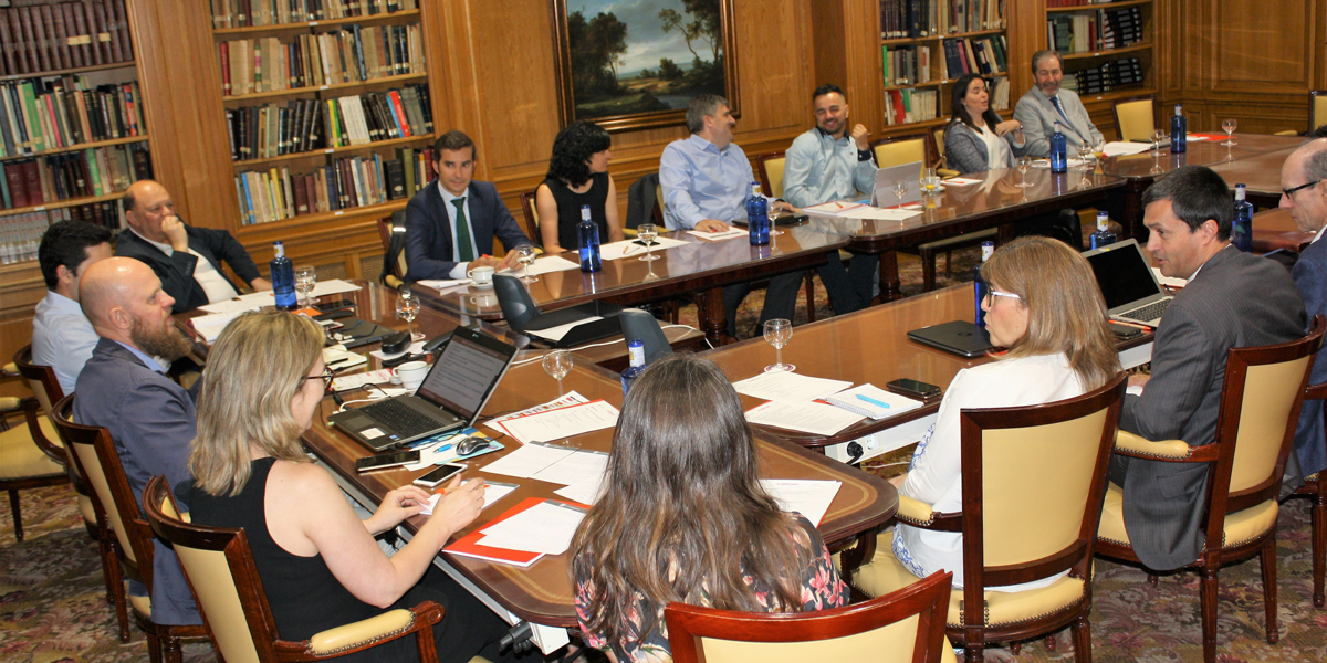 Primera reunión Comité Técnico V Congreso Smart Grids • SMARTGRIDSINFO