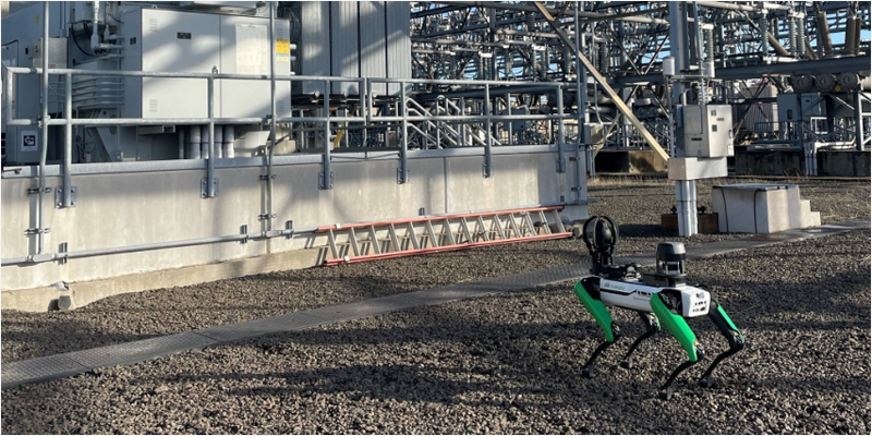Un proyecto desarrolla un prototipo de perro robot que emplea IA para ...