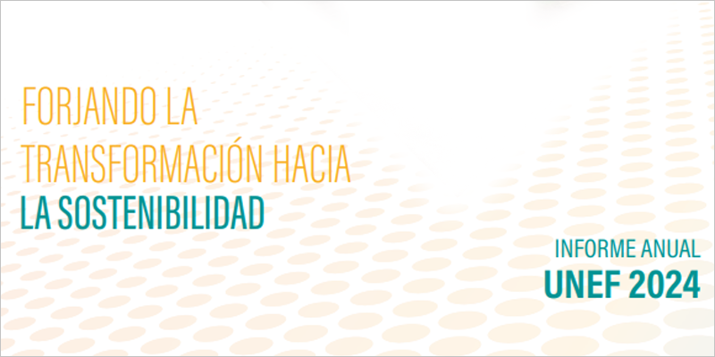 Informe Anual de UNEF • SMARTGRIDSINFO